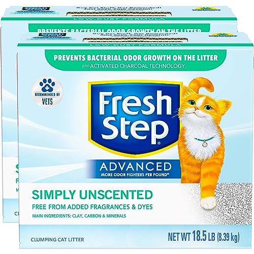 Kitty Litter Walmart – The 15 best products compared - Your Motor Guide