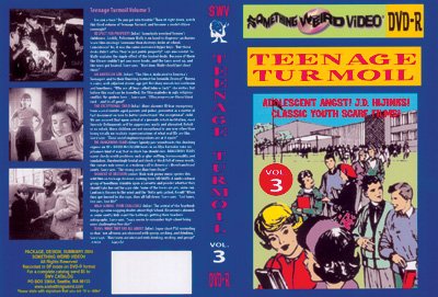 Amazon.com: TEENAGE TURMOIL VOL 03 - DVD-R : Movies & TV
