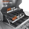 Amazon.com: SKOK 4-Burner Propane Gas BBQ Grill with Side Burner ...