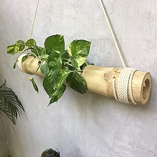 Aziraj Handicrafts Bamboo Hanging Planters - Bamboo Stand -Bamboo ...