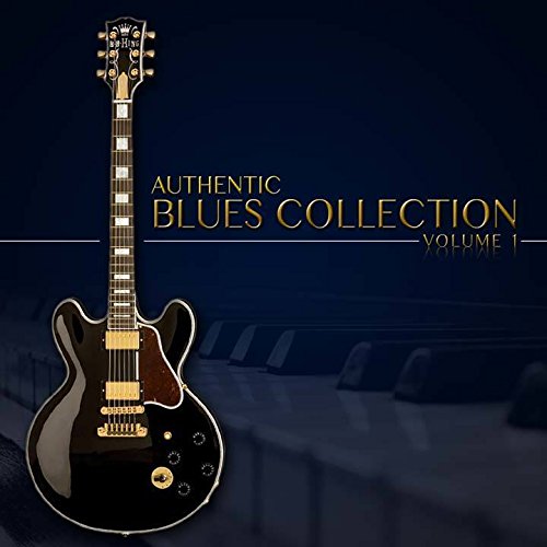 Various Blues Artists - Authentic Blues Collection : Volume 1 Six Disc ...