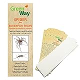 Best Centipede Traps For Indoors - How I Get Rid Of