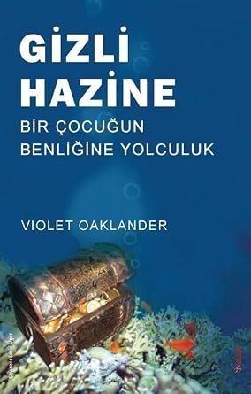 Amazon.com: Gizli Hazine;Bir Çocuğun Benliğine Yolculuk: 9786256811188 ...