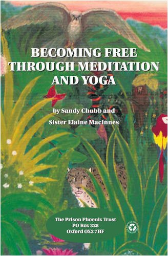 Becoming Free Through Meditation and Yoga: Chubb, Sandy: 9780955033421 ...
