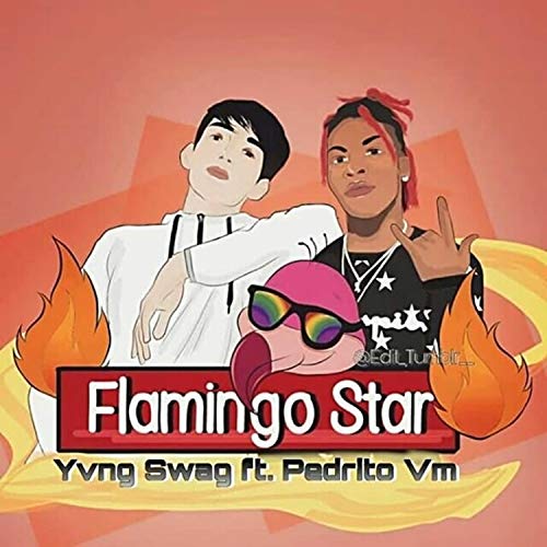 Flamingo Star by Yvng Swag on Amazon Music - Amazon.com