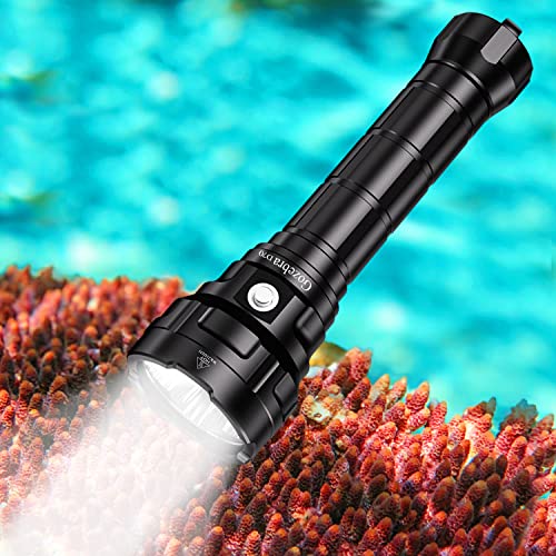 Scuba Flashlight – The 16 best products compared - Outdoors Magazine