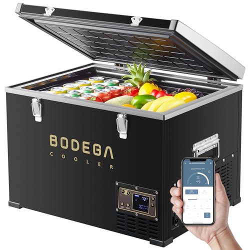 Bodega Cooler – The 15 best products compared - Your Motor Guide