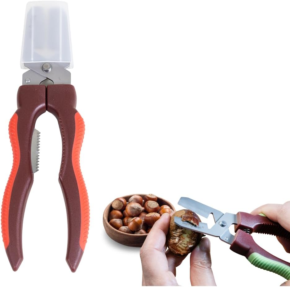 Amazon.com: SEJONG COOK Chestnut Scissors, Nut Cracker, Crusher SJ137 ...