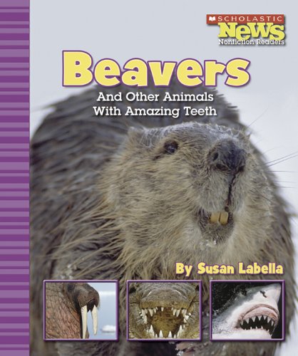 Beavers And Other Animals With Amazing Teeth (Scholastic News ...