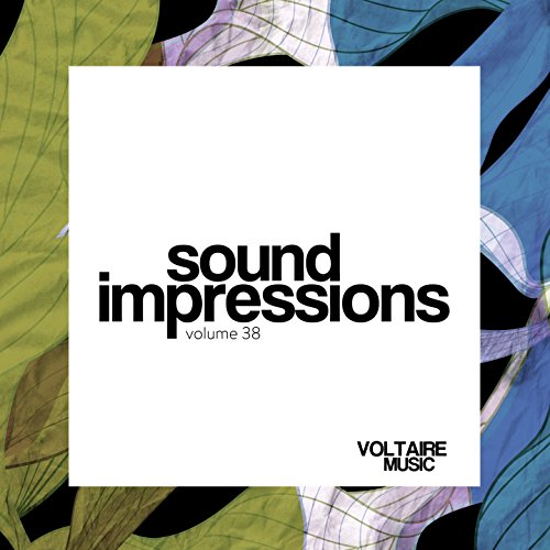 Amazon.com: Sound Impressions, Vol. 38 : VARIOUS ARTISTS: Digital Music