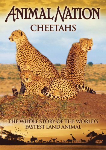 Amazon.com: Animal Nation - Cheetahs [Import anglais] : Movies & TV