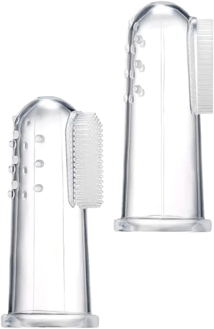 Amazon.com : Safety 1st Fingertip Toothbrush and Case : Baby ...