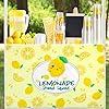 Amazon.com: Windkream 45" x 31" Lemonade Tablecloth for Lemonade Stand ...