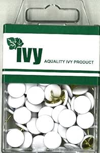white drawing pins-100 pin260ip : Amazon.co.uk: Stationery & Office ...