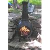 Amazon.com : The Blue Rooster Dragonfly Cast Aluminum Chiminea in ...