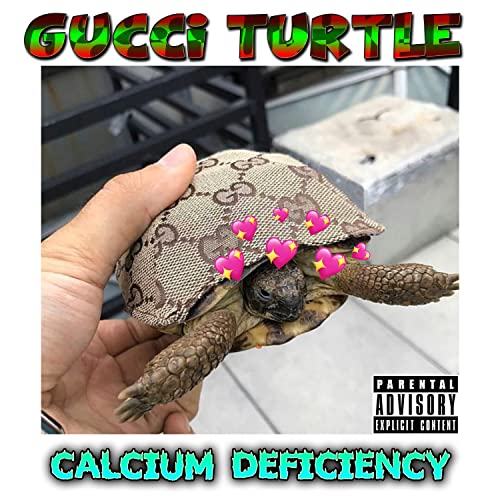 Gucci Turtle [Explicit] by CALCIUM DEFICIENCY on Amazon Music - Amazon.com