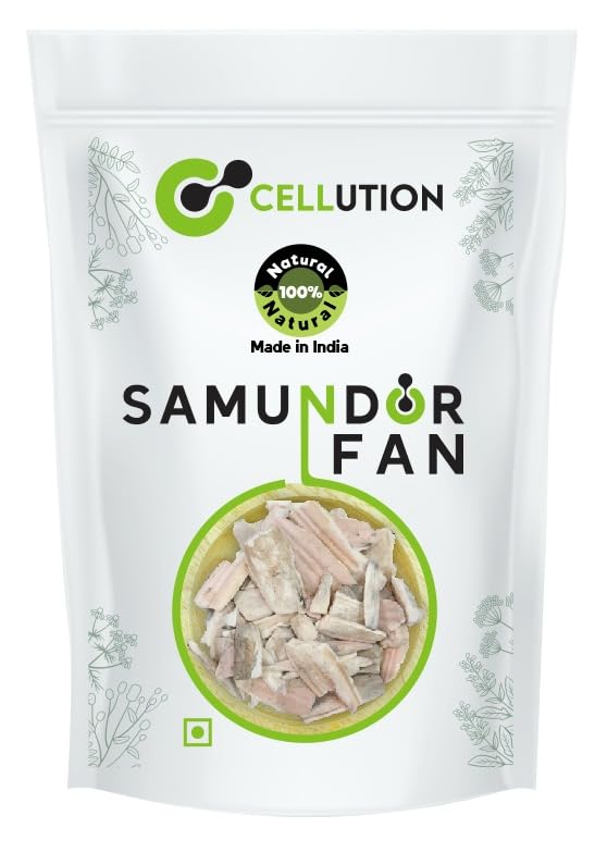 Buy CELLUTION Samundar Jhag - 50gm Samandar Jhaag, Sea Foam, Samunder ...