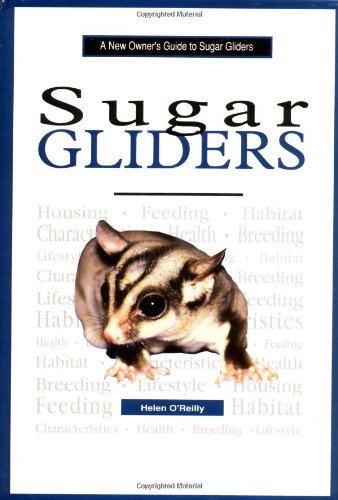 A New Owner's Guide to Sugar Gliders: O'Reilly, Helen: 9780793828258 ...