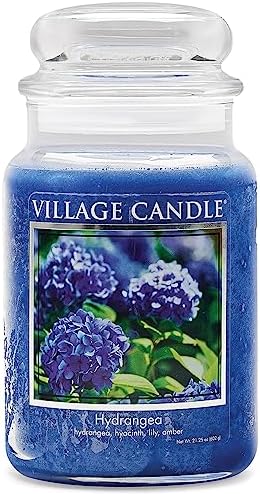 Amazon.com: Village Candle Wild Maine Blueberry Large Glass Apothecary ...