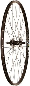 Amazon.com: Wheel Shop Alex MD19 / Formula DC20, Wheel, Front, 29 ...