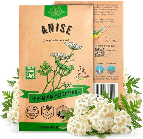 Amazon.com : Anise Seed Pack, herb Seeds, Garden Planting, Anise Hyssop ...
