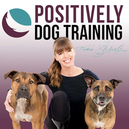 Amazon.com: Positively Dog Training - The Official Victoria Stilwell ...