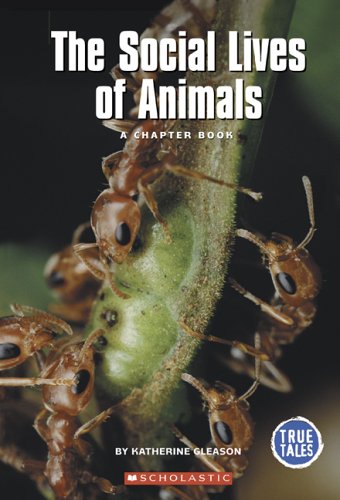 Amazon.com: The Social Lives of Animals: A Chapter Book (True Tales ...