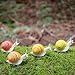 Accoutrements Archie McPhee Racing Snails - On Your Mark, Get - Import ...