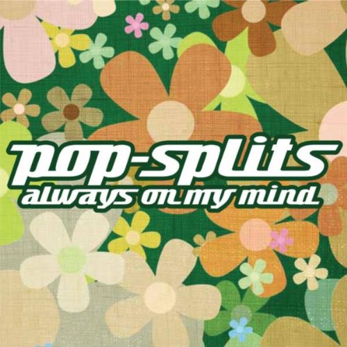 pop-splits – Always On My Mind – 21 unbekannte Geschichten zu bekannten ...