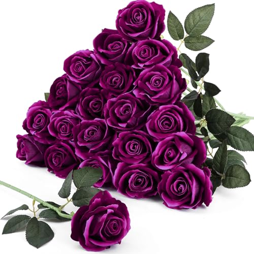 10 Best Purple Roses for a Stunning Floral Display in 2024
