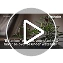 Botanium Indoor Hydroponic Herb and Plant Growing System, Ash Grey ...