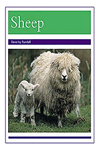 Amazon | Sheep (PM Animal Facts: Farm Animals) | Randell, Beverley ...
