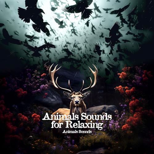 Accompaniment Different song by Animals Sounds from Animals Sounds for ...