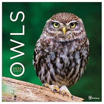 2020 Owls Wall Calendar: TF Publishing: 9781643320243: Amazon.com: Books