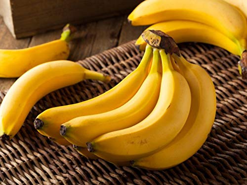 LushGreen Gardens High Yielding Banana/Kela Banana Fruit Live Plant ...