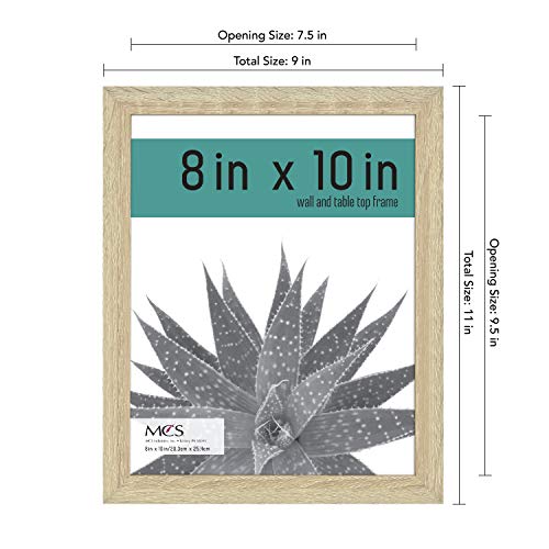 Snapklik.com : MCS Gallery Essential Picture Frames