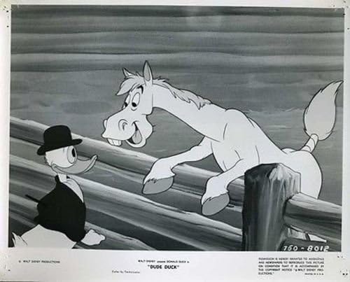 Walt Disney Donald Duck Dude Duck Original 8x10" Photo #J9280 at Amazon ...