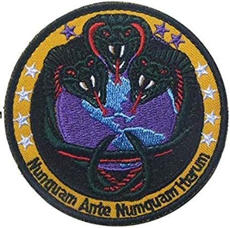 Amazon.com: USAF Black Ops Area 51 NRO National Recon Office Snakes ...