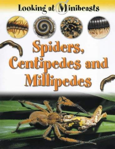 Spiders, Centipedes and Millipedes (Looking at Minibeasts): Sally ...