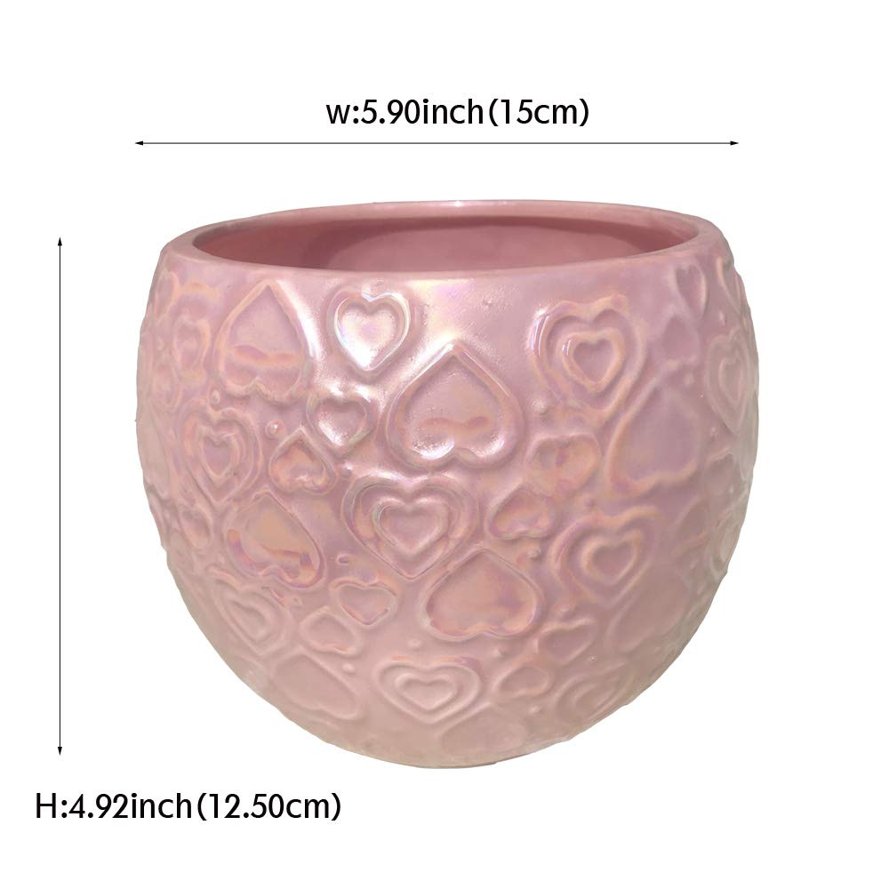 Snapklik.com : Flower Pot 6 Inch Planters For Indoor Plants Pink Orchid ...