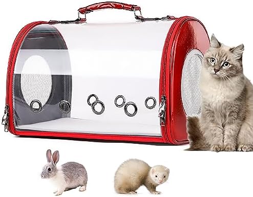 Amazon.com : Kitty Backpack Carrier, Pet Travel Carrier, Cat Carrying ...