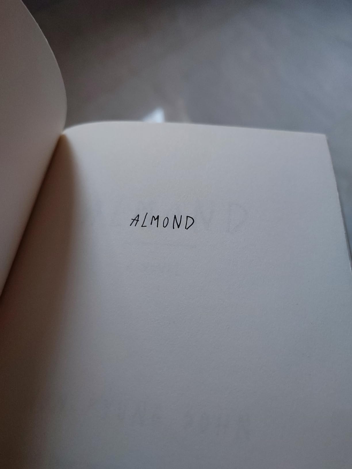 Buy Almond Book Online at Low Prices in India | Almond Reviews ...