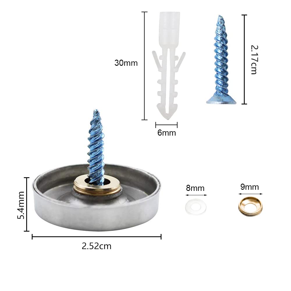 LongZYU 24 Sets Stainless Steel Mirror Screws 25mm Mirror Nails with ...