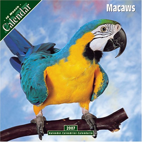 Macaws 2007 Wall Calendar: 9781846621246: Amazon.com: Books