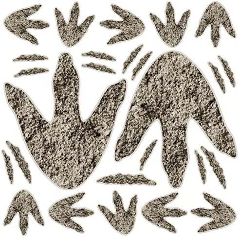 Amazon.com: 90 Pcs Dinosaur Footprints for Floor Dinosaur Birthday ...