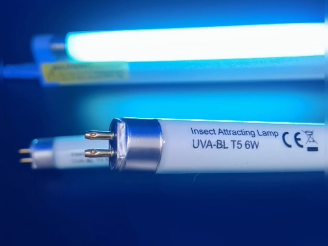 Watch 6W F6T5/BL 9 Inch Replacement Light G5 Mini Bi Pin Base on Amazon ...