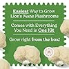 Amazon.com : BloomBox Lion’s Mane Mushroom Grow Kit – Ready to Fruit ...