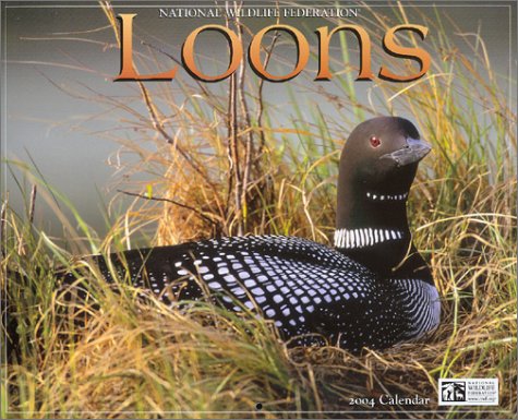 Loons 2004 Calendar: 9781572236660: Amazon.com: Books