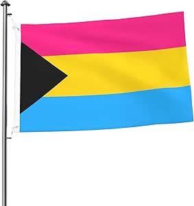 Amazon.com : Demi Pan Flag Pride Pansexual Demiromantic Panromantic ...