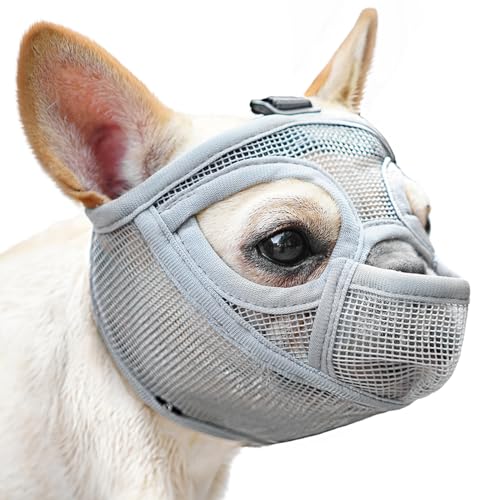 10 Best Muzzle to Sdog Eating Poop [2025]